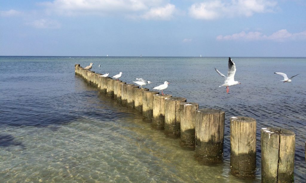 Ostseetraum auf der Insel Poel - Unsere Ferienwohnungen, das ...